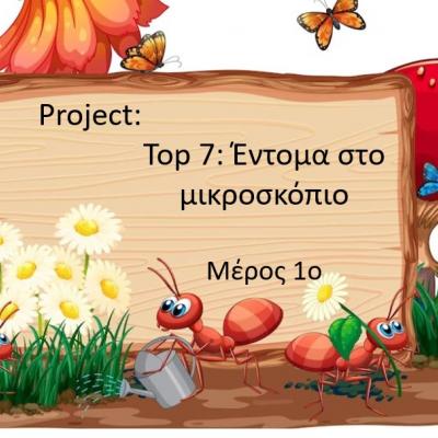 Top 7: Έντομα στο μικροσκόπιο - μέρος 1ο | ΔΙΠΤΥΧΟ
